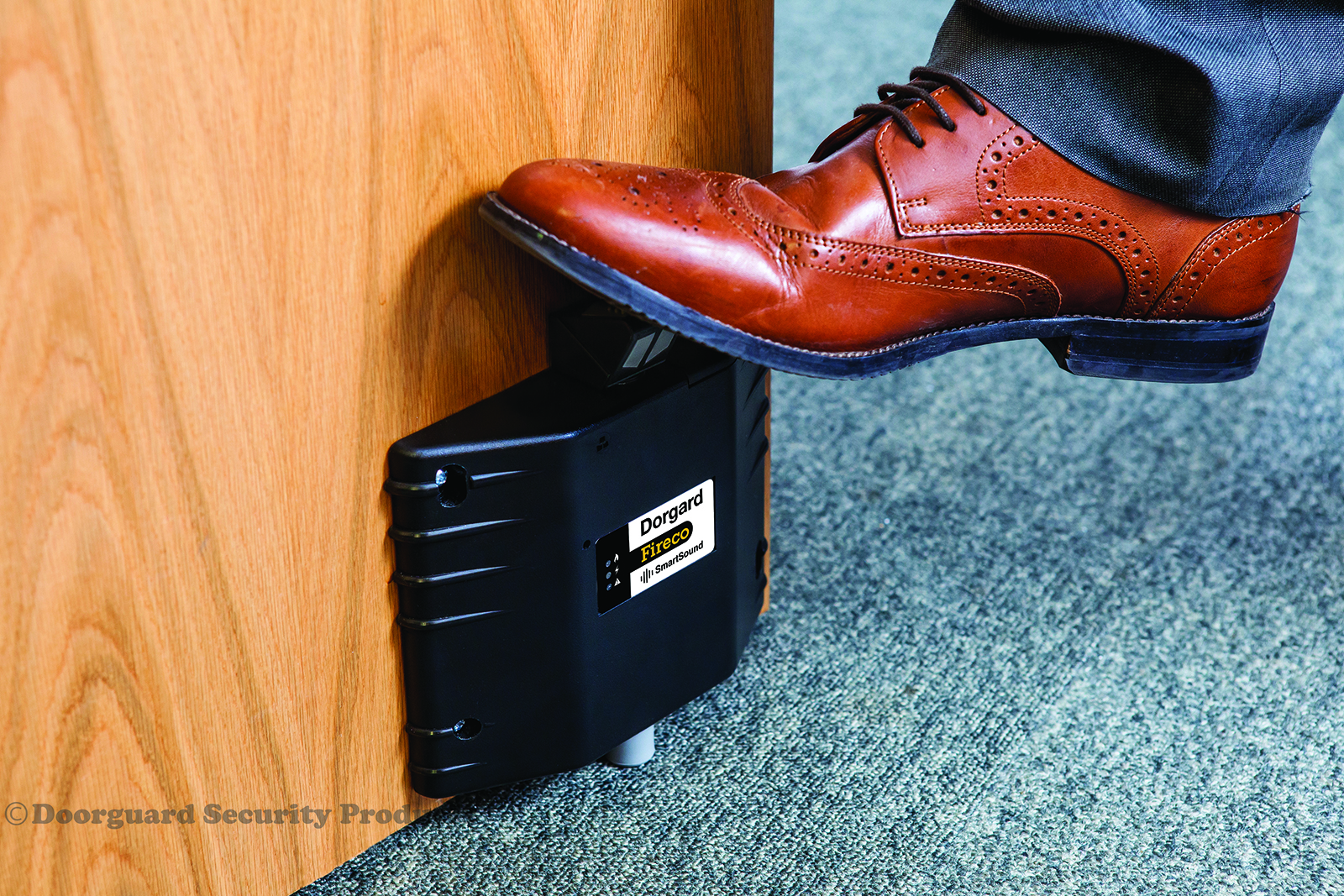 SmartSound Dorgard Acoustic Fire Door Retainer